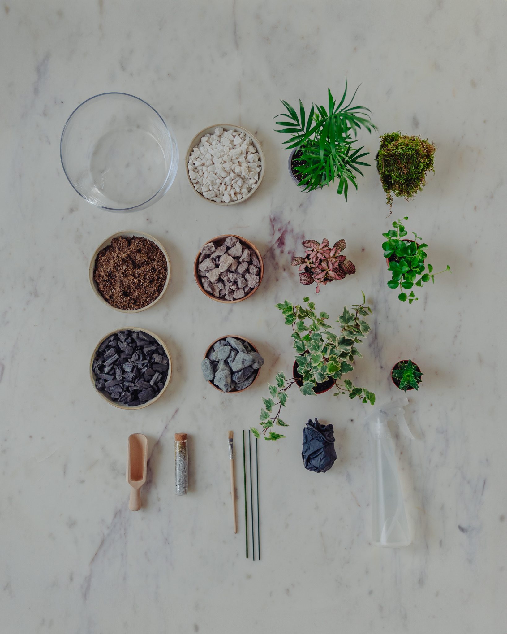 KIT DIY – Terariu cu plante verzi – Milk & Honey